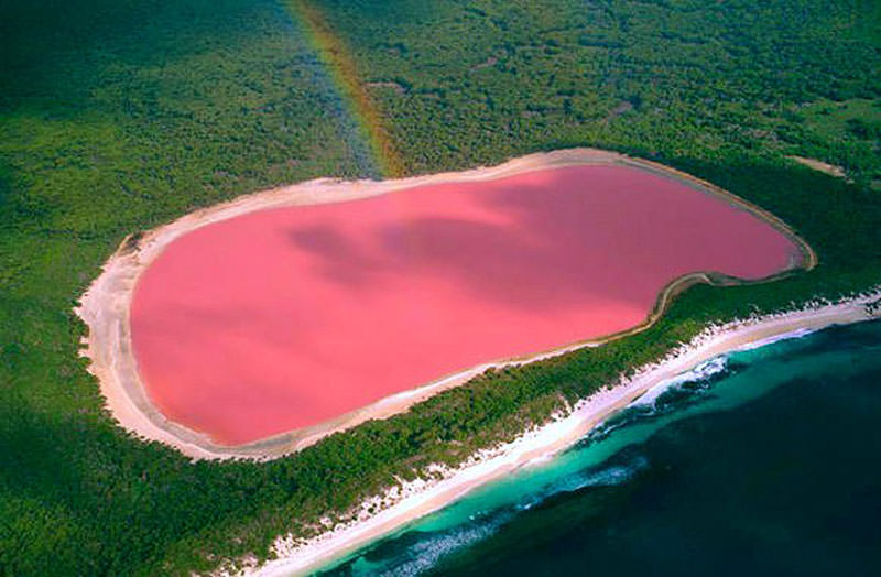 A Pink Lake: Visiting Lake Masazir Near Baku, Azerbaijan
