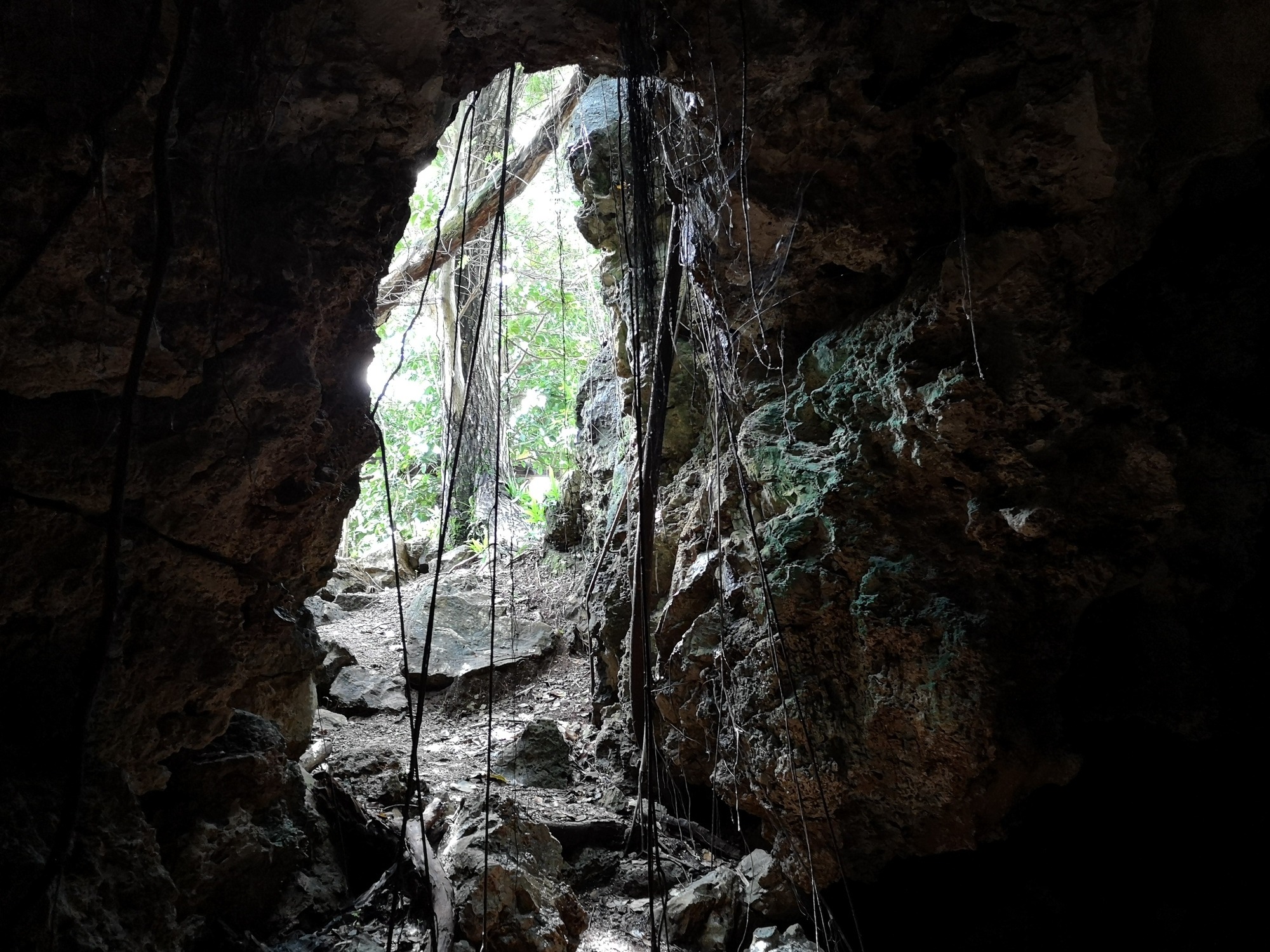 Backpacking in Nauru: Top 12 Sights In The Interior, Thon Outback - Don ...